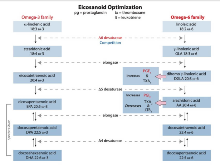 Diseases, Disorders & Impairment of the Δ-6 Desaturase Pathway – Peskin ...